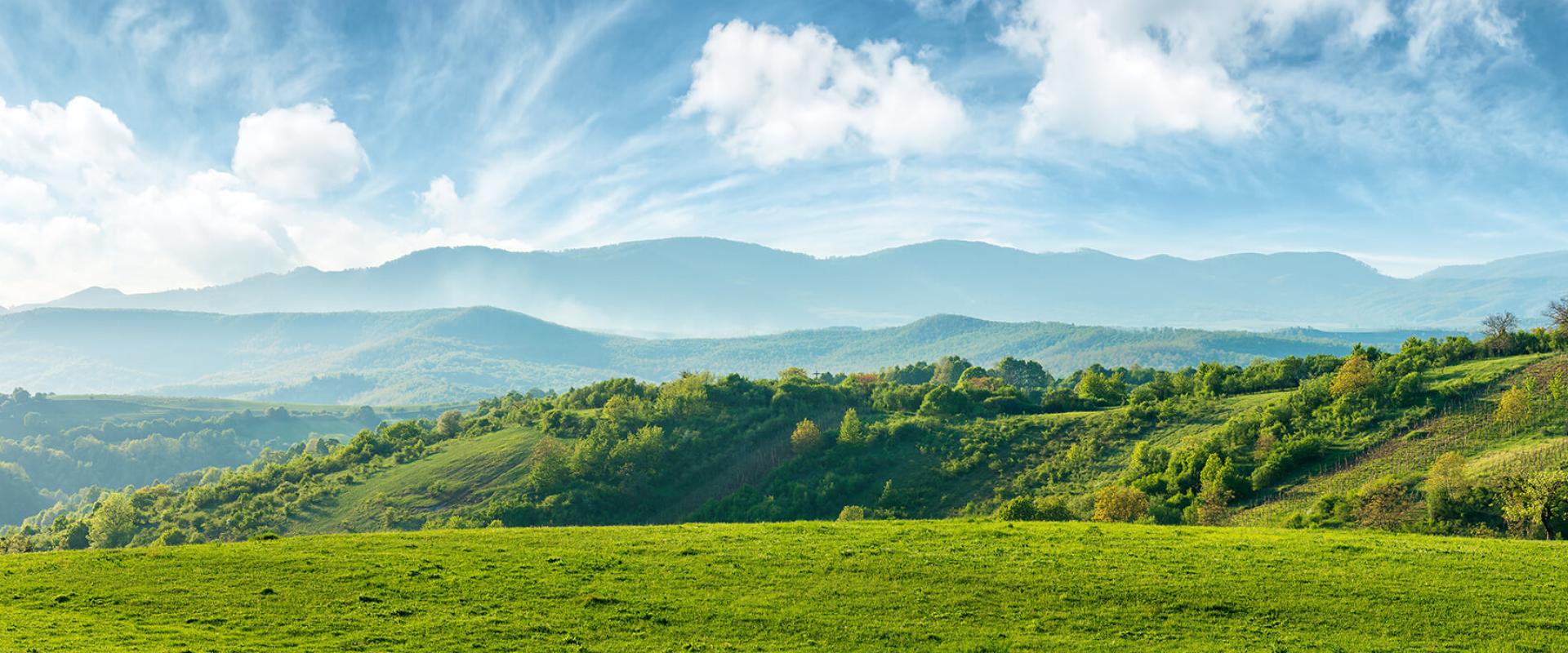 Financial Planning | Contact Prosperity Partners Wealth TN